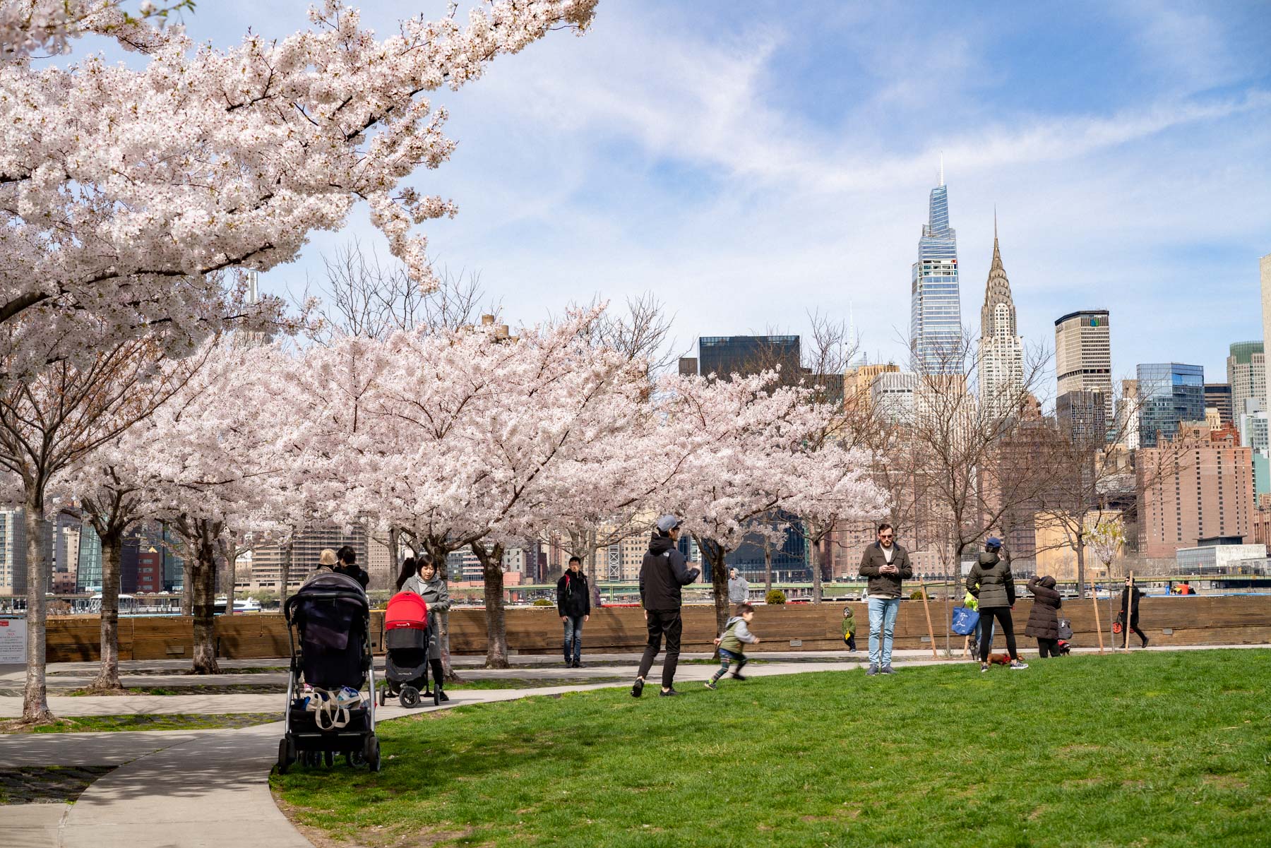 20 terrific things to do in Long Island City New York City