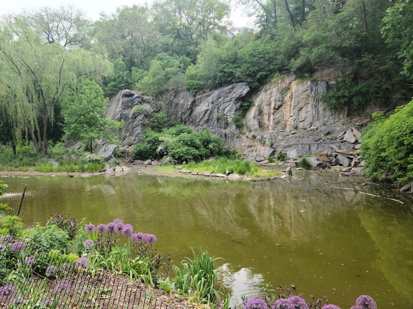 7 gorgeous hidden waterfalls in New York City