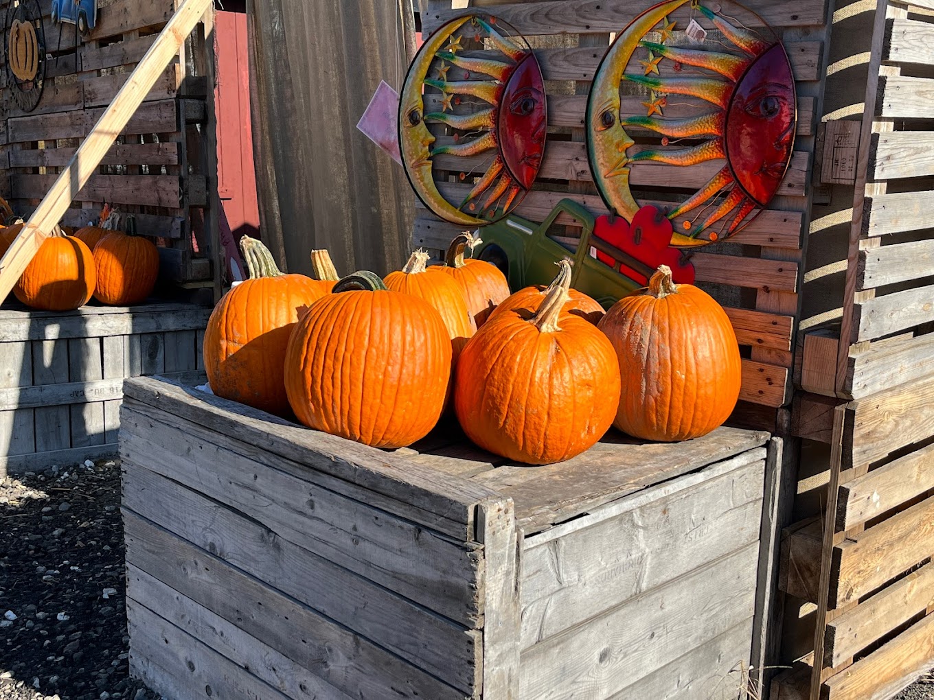 17 Best apple and pumpkin picking in New York City