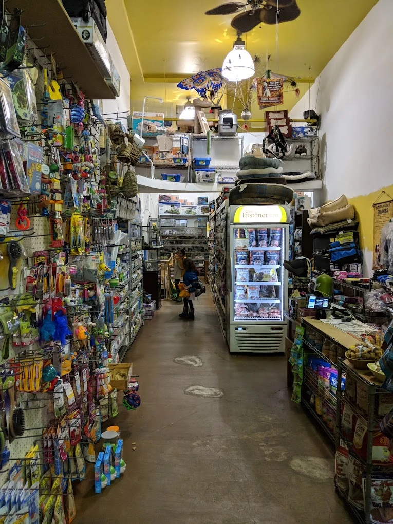 14 of the best pet stores in New York City