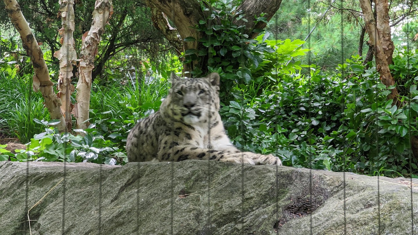 The 6 Best Zoos in New York City