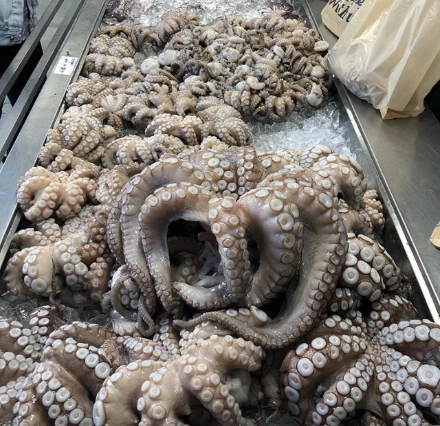 9 of the best octopus in New York City