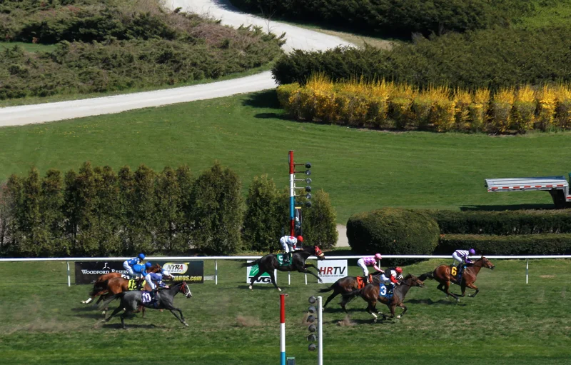 The 6 Best Horse Racing in New York City