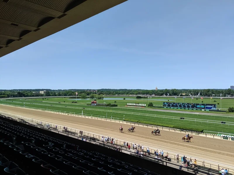 The 6 Best Horse Racing in New York City