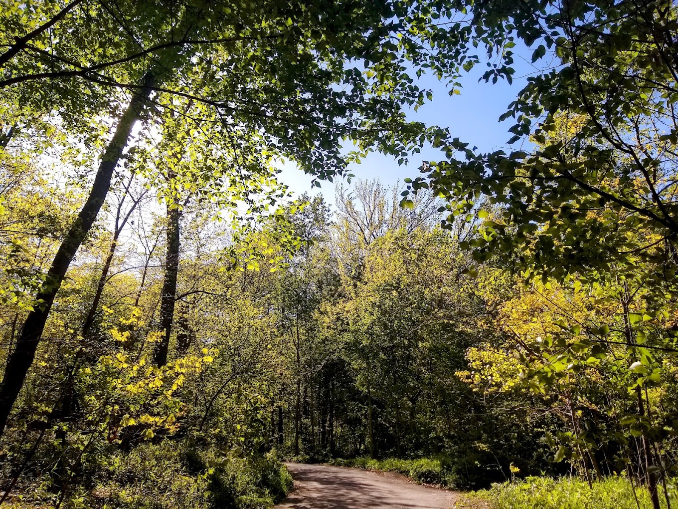 3 Best Forests in New York City