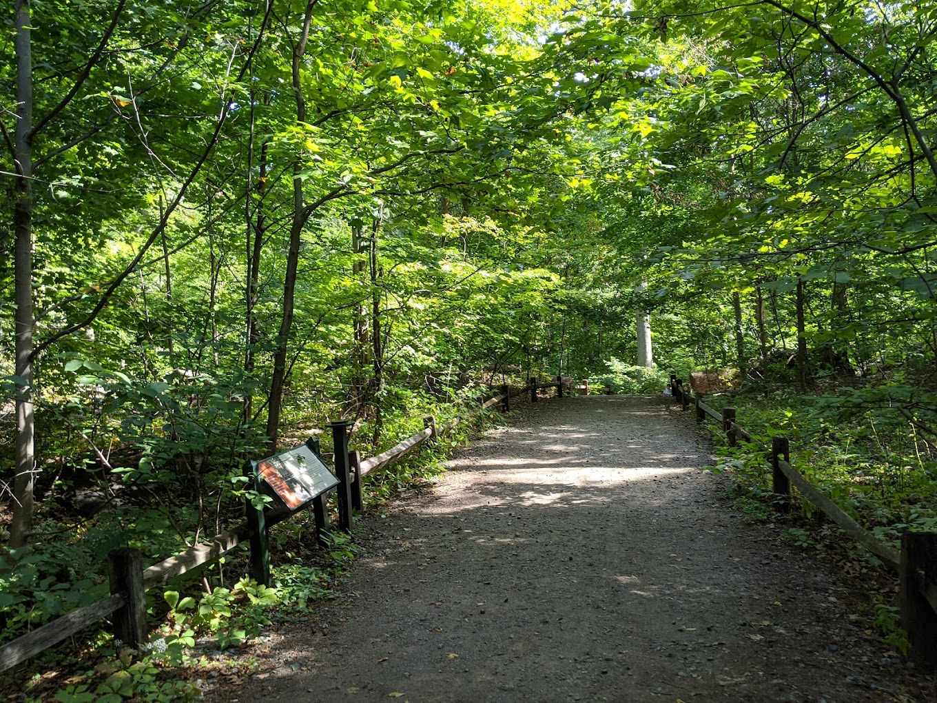 3 Best Forests in New York City