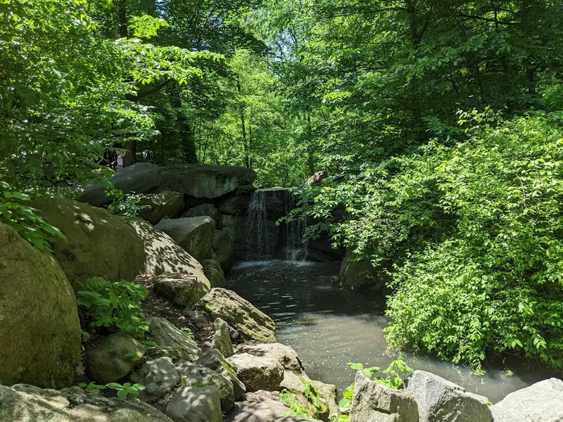 3 Best Forests in New York City