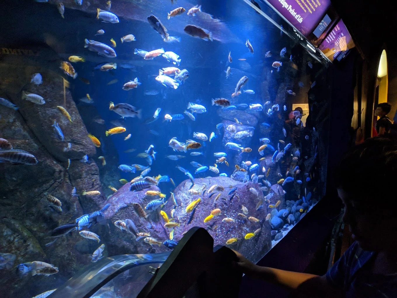 The 9 best Aquariums in New York City