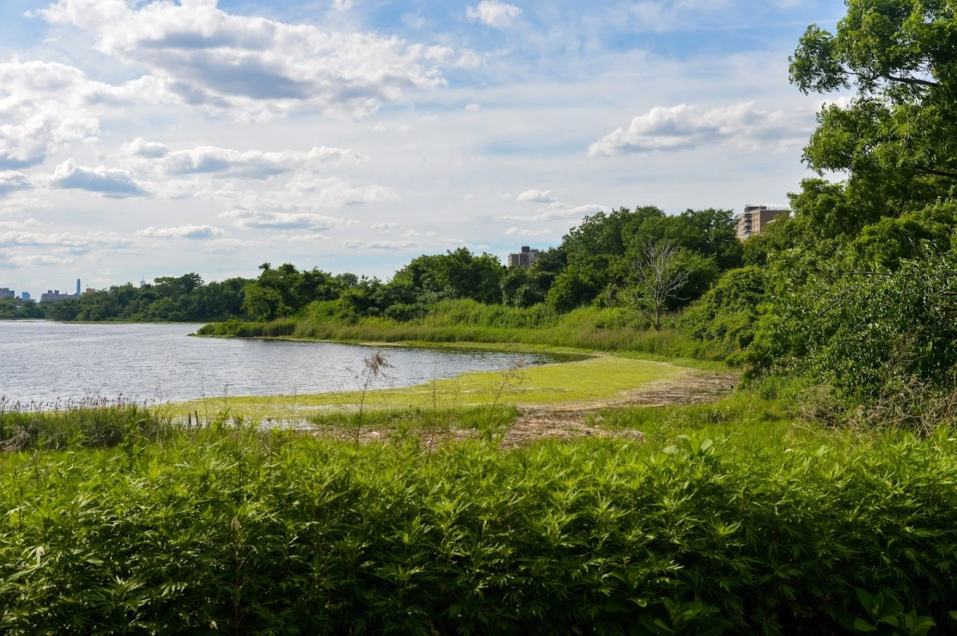 14 Amazing Nature Spots in New York City