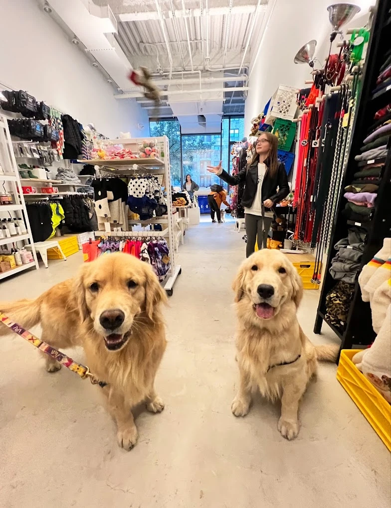 The 7 best pet stores in Chelsea New York City
