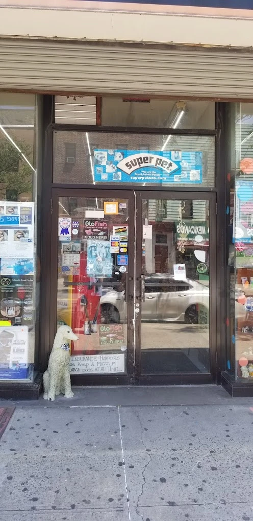 Top 10 pet stores in Williamsburg NYC