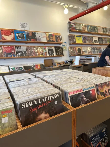 17 Best vinyl record stores in New York City