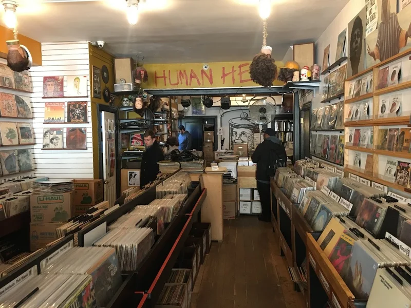 17 Best vinyl record stores in New York City