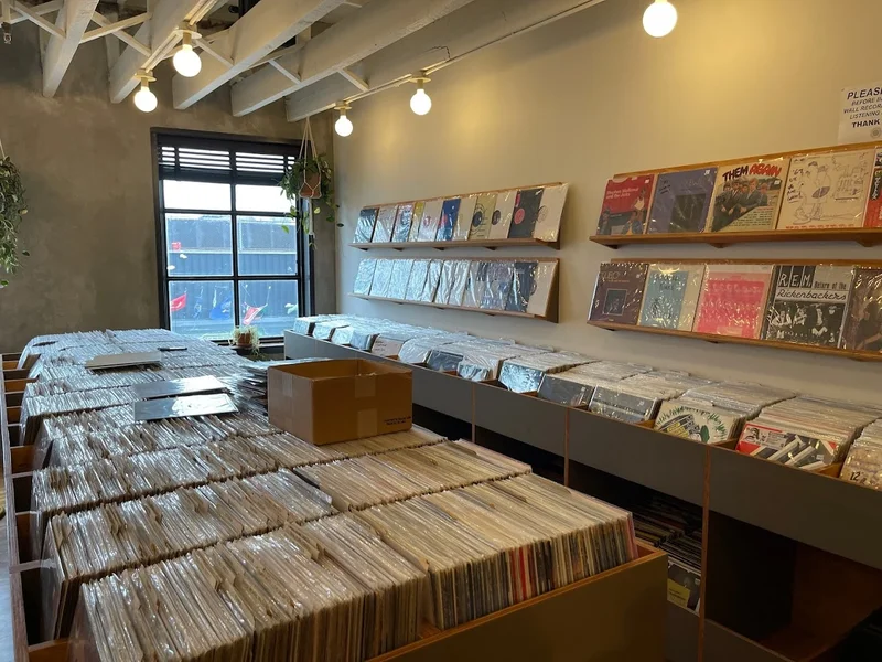 22 Best vinyl record stores in New York City