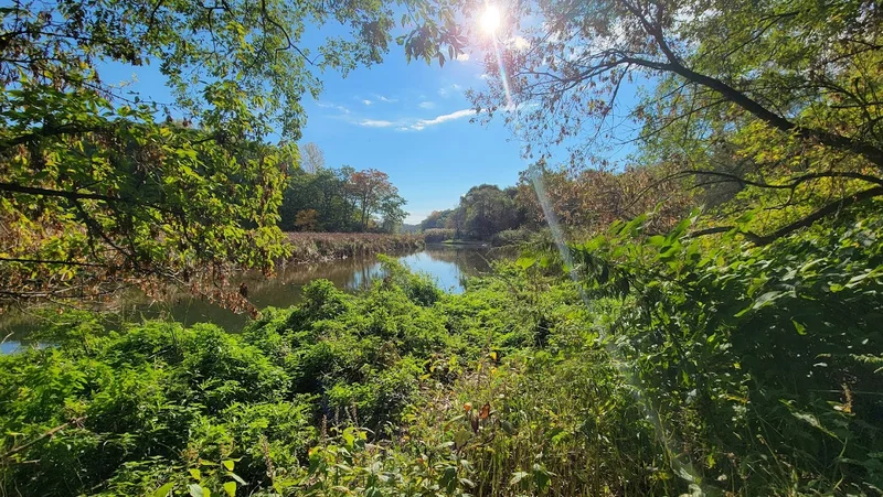 Top 19 kid-friendly hiking trails in Rochester