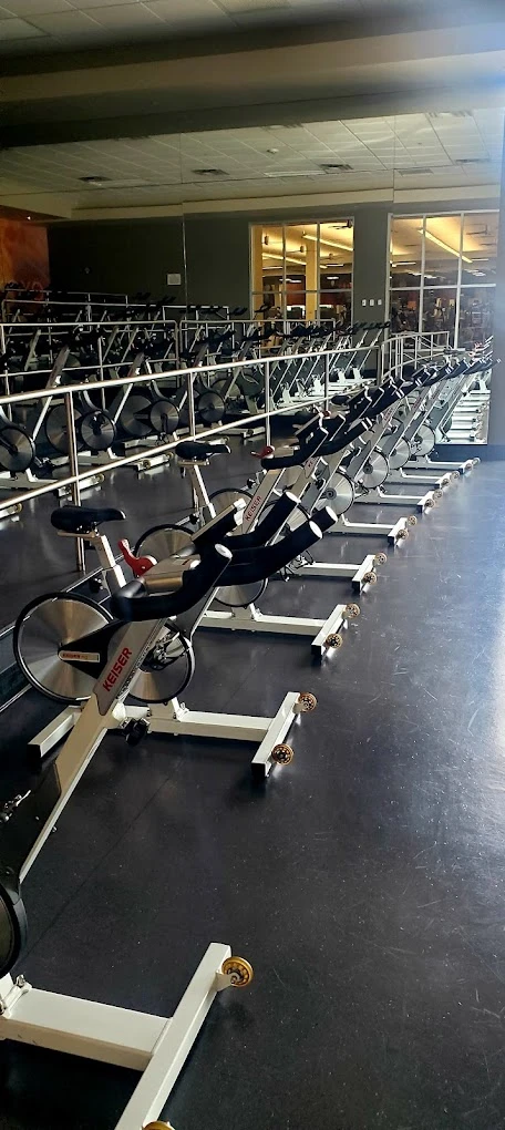 Top 20 gyms in Woodland Hills Los Angeles