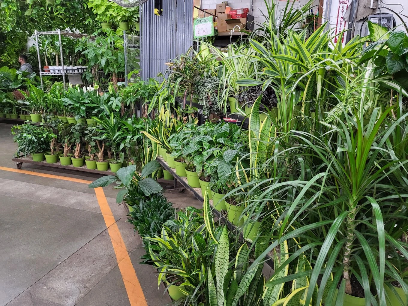 Top 32 florist in Downtown Los Angeles Los Angeles