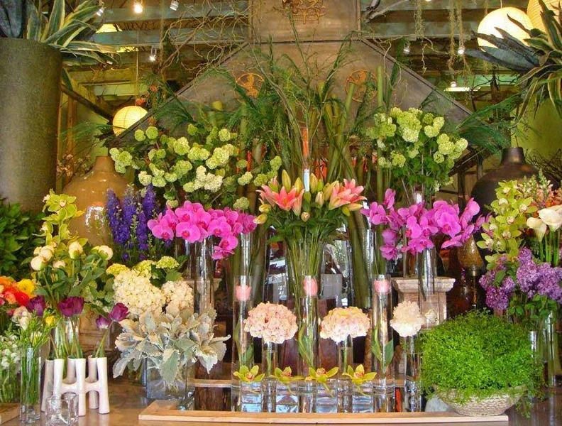 Best of 18 florist in Hollywood Los Angeles
