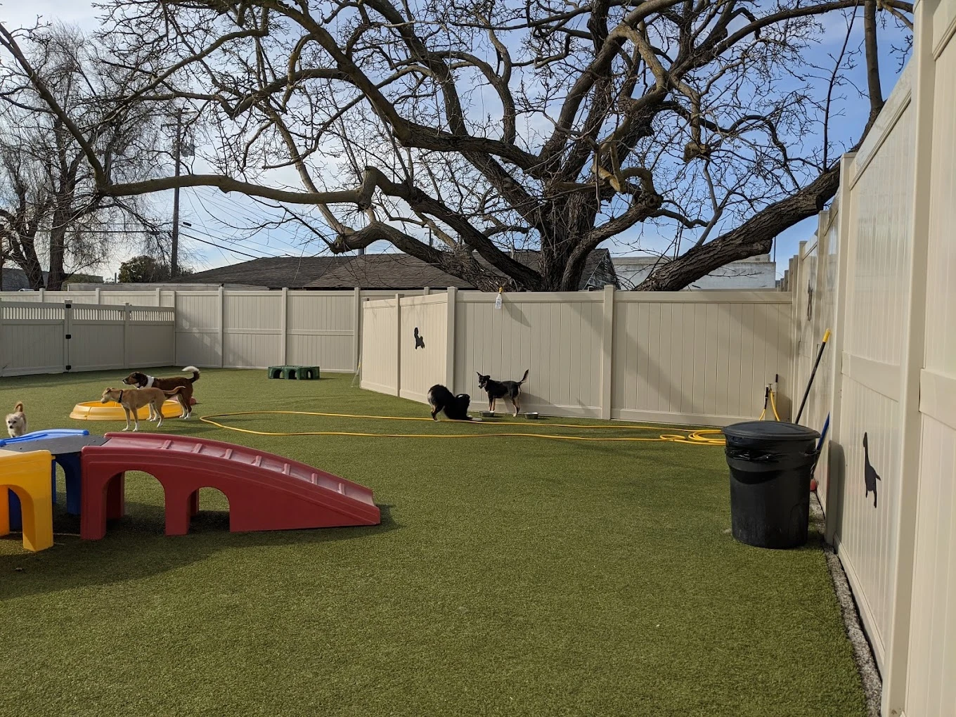Best of 13 dog training classes in Sacramento