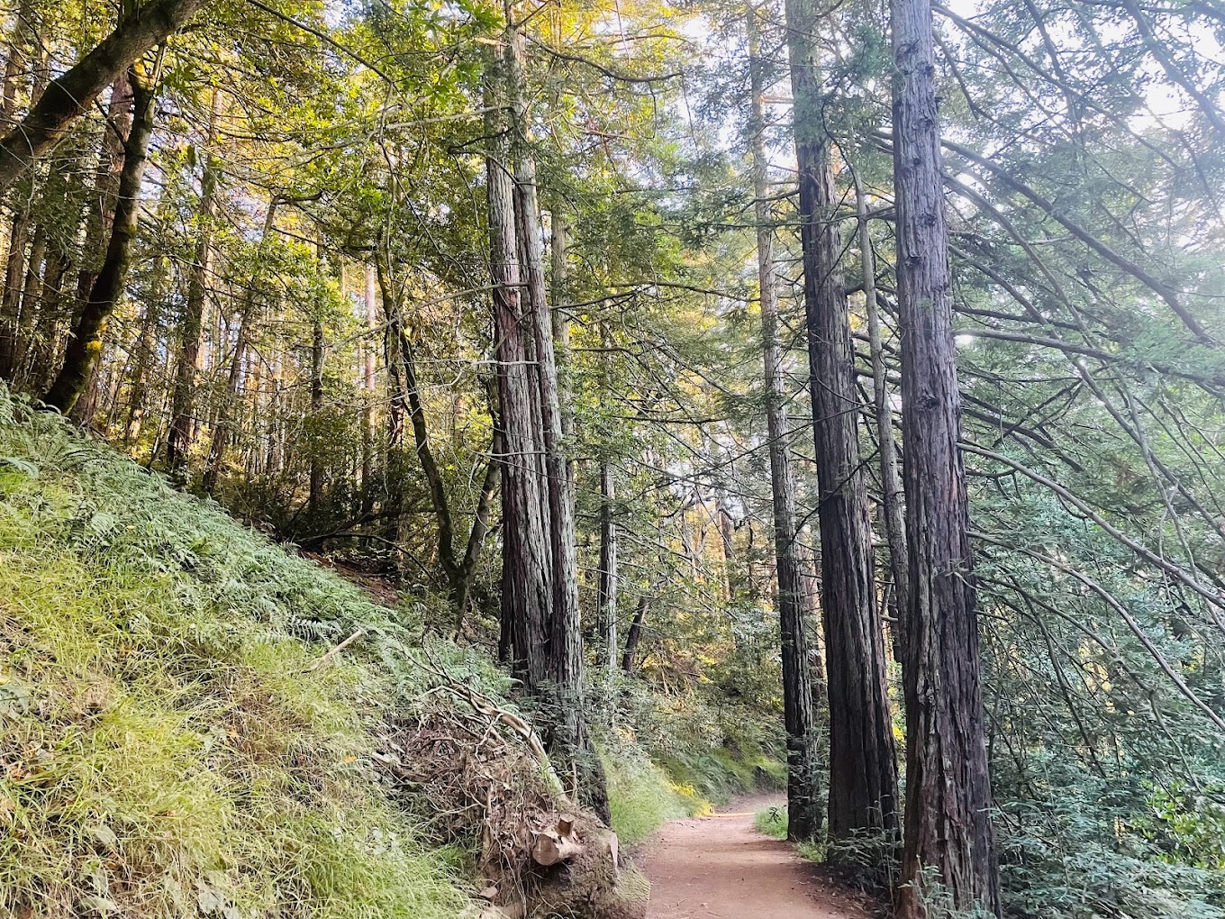 Best of 19 Hiking Trails in Oakland
