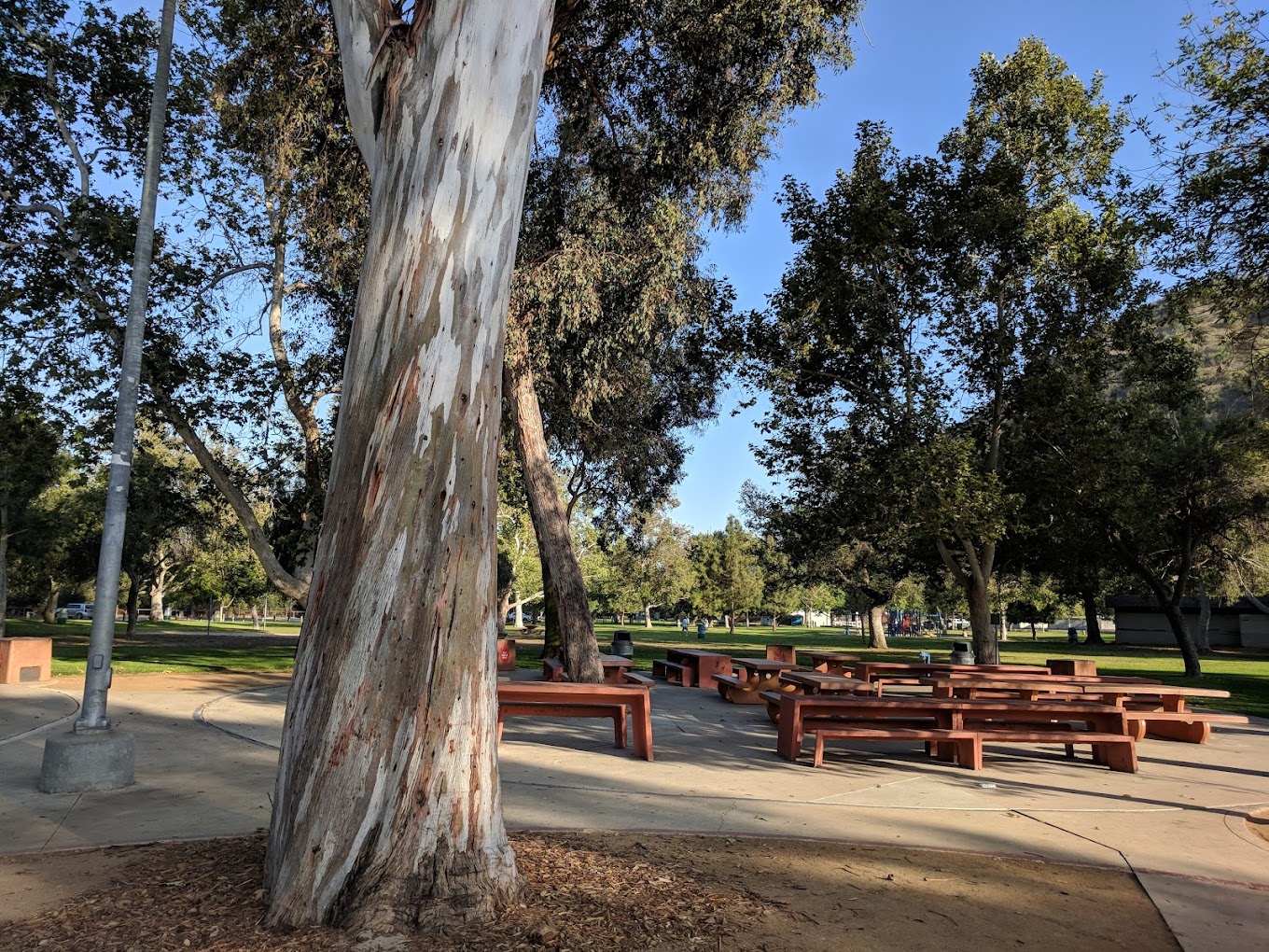 Best of 18 picnic spots in Los Angeles