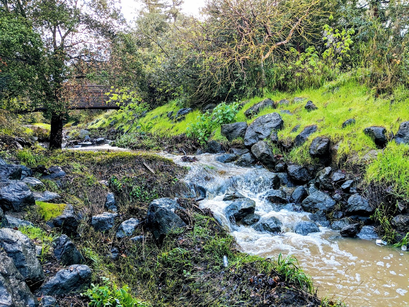Best of 10 waterfalls in San Jose