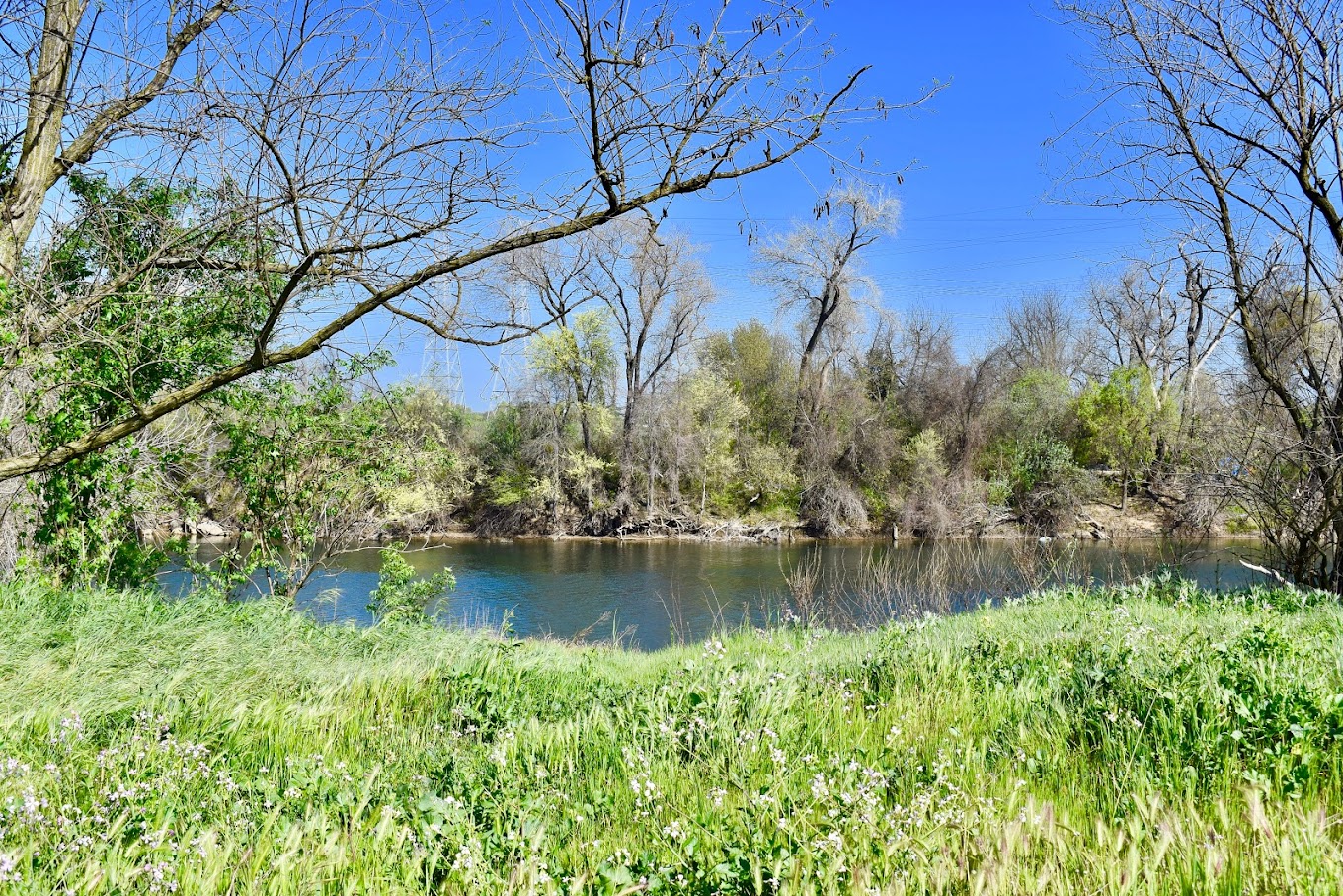 Top 27 kid-friendly hiking trails in Sacramento
