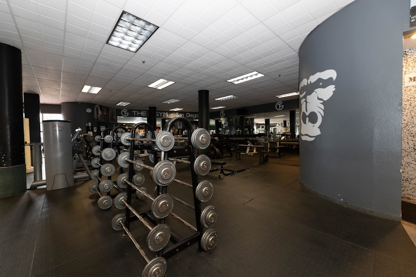 Best of 18 workout classes in Pacific Beach San Diego