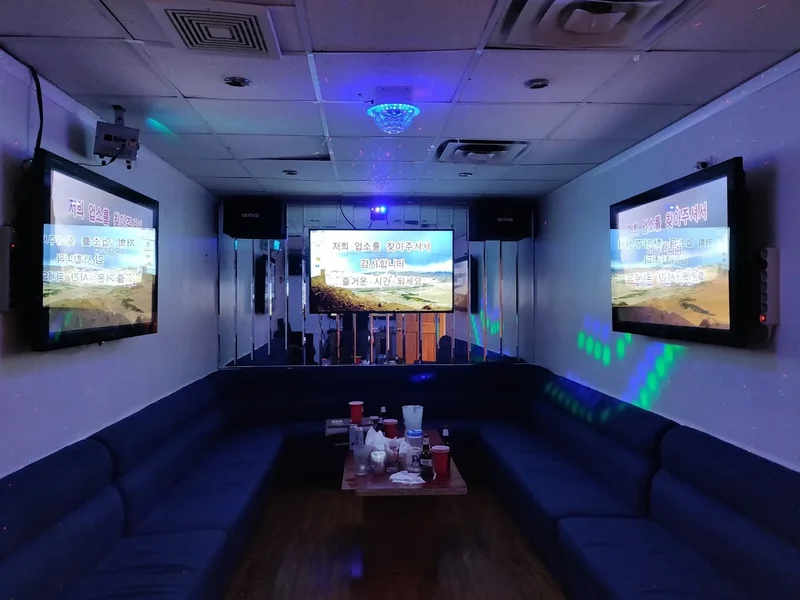 Top 22 karaoke bars in Chicago