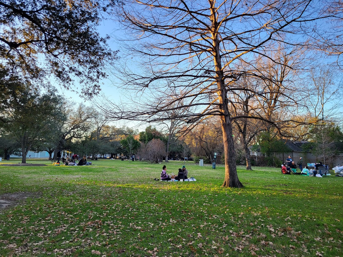 Top 19 picnic spots in Houston