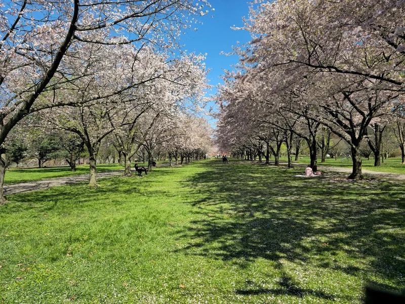 Top 11 botanical gardens in Philadelphia