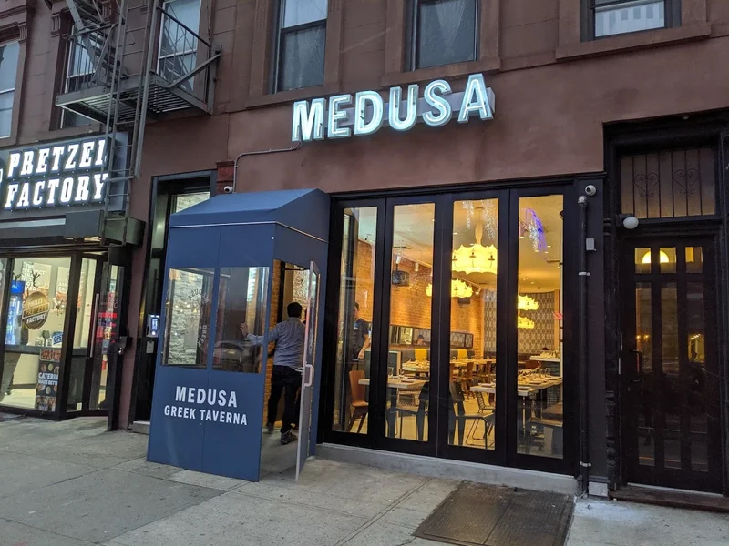 Medusa The Greek - Reviews & Menu - New York City